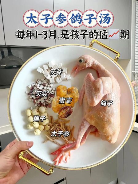 鸽子汤怎么炖适合孩子_儿童鸽子汤做法步骤-第1张图片-山城妙识