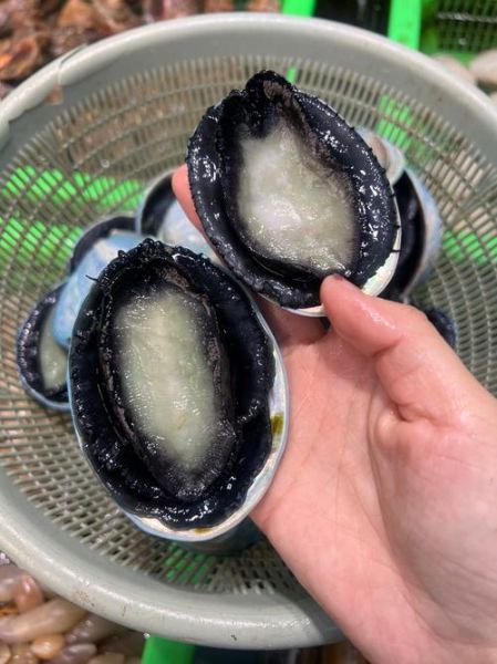 鲍鱼多少钱一斤2020_2020年鲍鱼价格行情-第3张图片-山城妙识