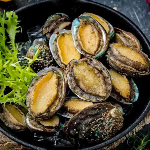 鲍鱼多少钱一斤2020_2020年鲍鱼价格行情-第1张图片-山城妙识