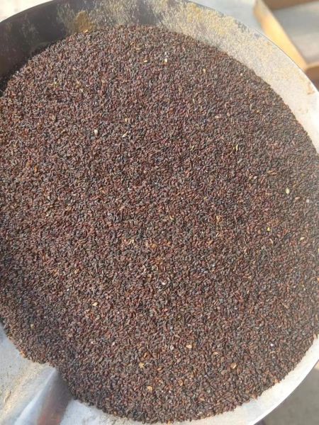 车前子图片长什么样_如何辨别真假车前子-第1张图片-山城妙识