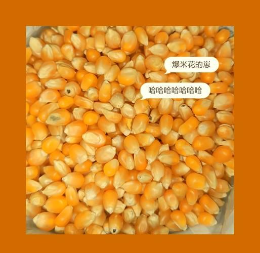 怎么在家做爆米花_用什么锅爆米花最好-第2张图片-山城妙识