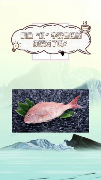 鲷鱼读diao还是chou_鲷鱼发音争议解析-第1张图片-山城妙识 鲷鱼读diao还是chou_鲷鱼发音争议解析-第1张图片-山城妙识