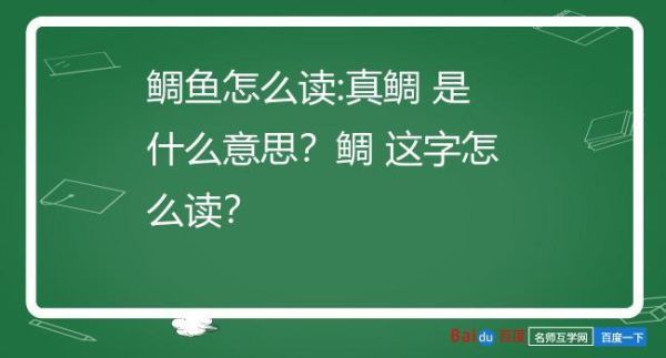 鲷鱼读diao还是chou_鲷鱼发音争议解析-第2张图片-山城妙识 鲷鱼读diao还是chou_鲷鱼发音争议解析-第2张图片-山城妙识