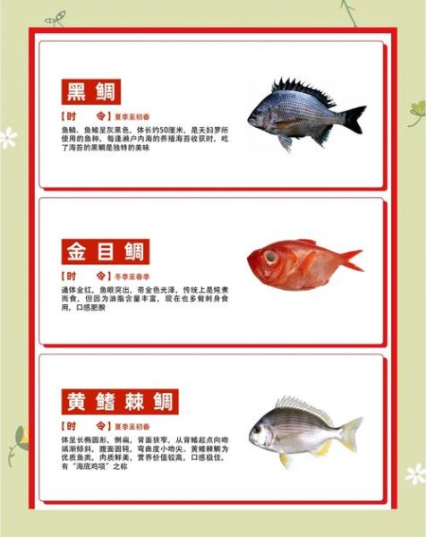 鲷鱼读diao还是chou_鲷鱼发音争议解析-第3张图片-山城妙识 鲷鱼读diao还是chou_鲷鱼发音争议解析-第3张图片-山城妙识