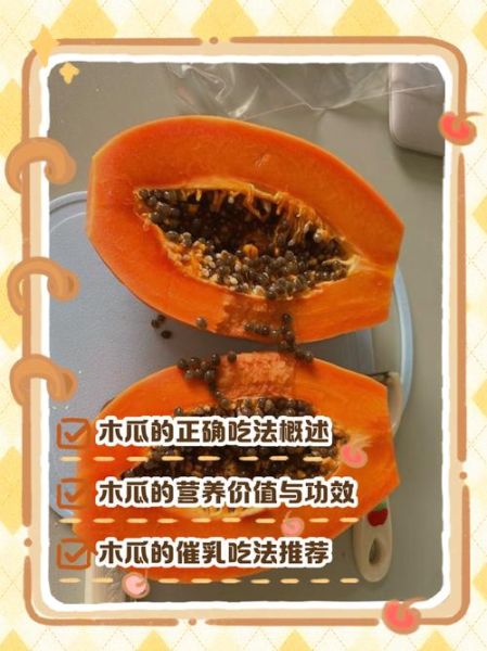 木瓜怎么吃最营养_木瓜的正确吃法与做法-第2张图片-山城妙识 木瓜怎么吃最营养_木瓜的正确吃法与做法-第2张图片-山城妙识