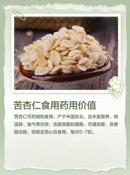 银杏仁的功效与作用_银杏仁怎么吃最好-第2张图片-山城妙识