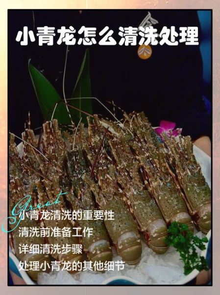 青龙虾怎么处理干净_青龙虾清洗视频教程-第1张图片-山城妙识