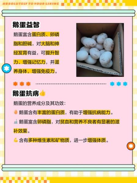 女人吃鹅蛋有什么功效_鹅蛋对女性的好处-第1张图片-山城妙识
