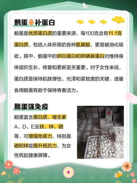 女人吃鹅蛋有什么功效_鹅蛋对女性的好处-第2张图片-山城妙识