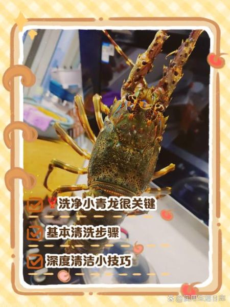 青龙虾怎么处理干净_青龙虾清洗视频教程-第2张图片-山城妙识