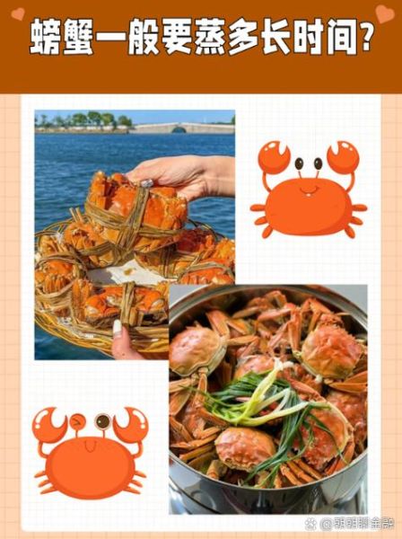 蒸大闸蟹的正确方法_蒸大闸蟹需要多长时间-第2张图片-山城妙识