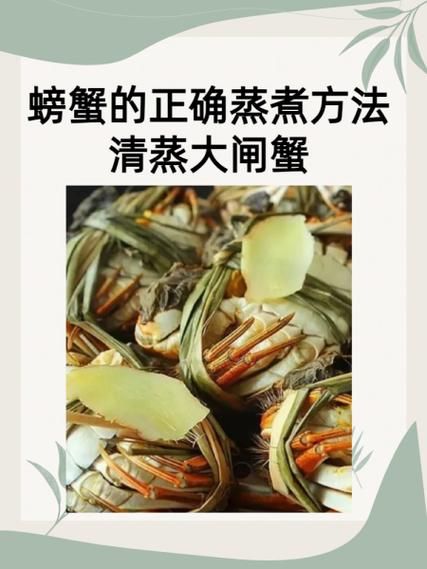 蒸大闸蟹的正确方法_蒸大闸蟹需要多长时间-第3张图片-山城妙识
