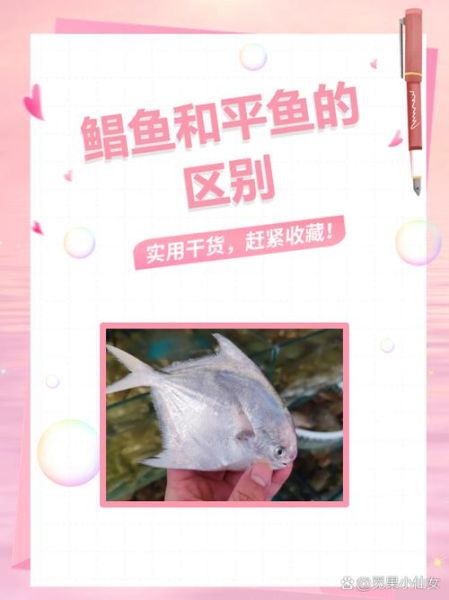 金鲳鱼和鲳鱼的区别_哪个更好吃-第1张图片-山城妙识