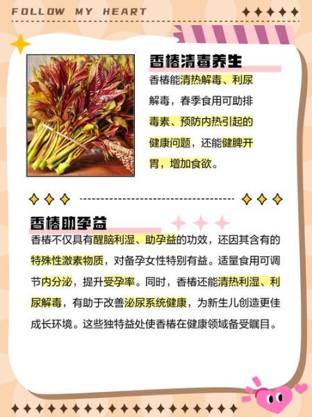 香椿吃了有什么好处_香椿吃多了有什么坏处-第1张图片-山城妙识