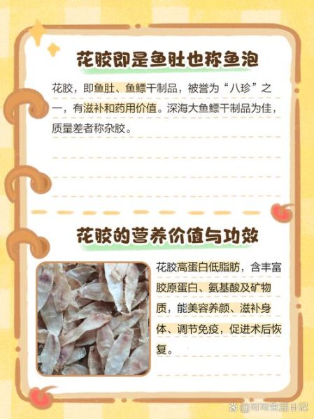 鱼肚和鱼泡的区别_哪个更营养-第2张图片-山城妙识