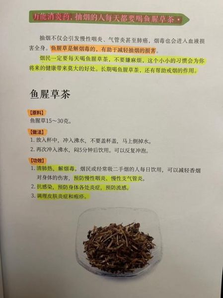 鱼腥草茶可以长期喝吗_鱼腥草茶长期饮用的副作用-第2张图片-山城妙识