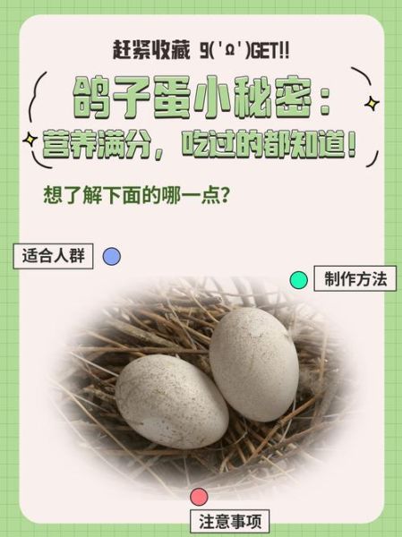 男孩吃鸽子蛋有什么好处_鸽子蛋对男孩发育真的有用吗-第1张图片-山城妙识