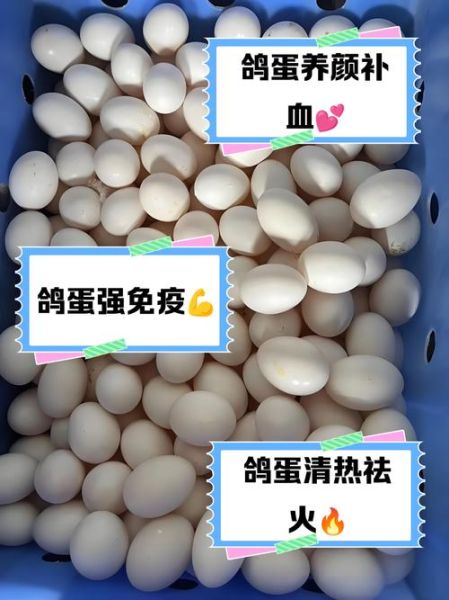男孩吃鸽子蛋有什么好处_鸽子蛋对男孩发育真的有用吗-第3张图片-山城妙识