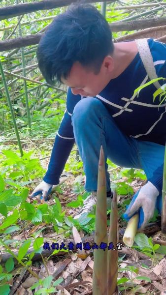 酸笋怎么腌制才脆_酸笋腌制多久可以吃-第1张图片-山城妙识