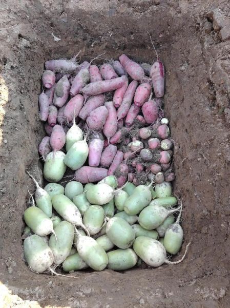 萝卜开会是哪道菜_萝卜开会是什么菜-第1张图片-山城妙识