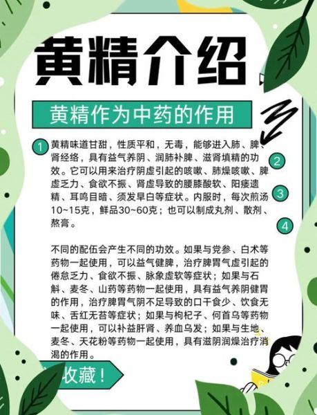 黄精的功效与作用及禁忌_什么人不能吃黄精-第2张图片-山城妙识