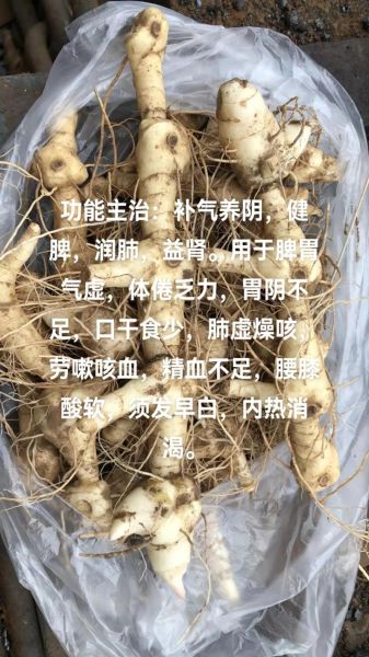 黄精的功效与作用及禁忌_什么人不能吃黄精-第3张图片-山城妙识