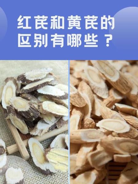炙黄芪和黄芪的区别_哪个更适合补气-第3张图片-山城妙识 炙黄芪和黄芪的区别_哪个更适合补气-第3张图片-山城妙识