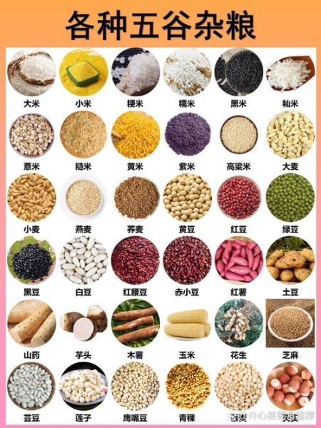 杂粮有哪些_杂粮指的是哪些粮食-第1张图片-山城妙识