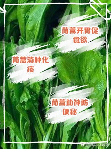 茼蒿不焯水吃了有害吗_茼蒿生吃安全吗-第2张图片-山城妙识