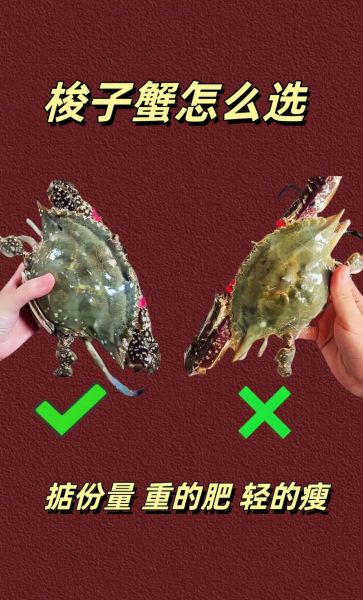 梭子蟹怎么处理_图解步骤-第1张图片-山城妙识