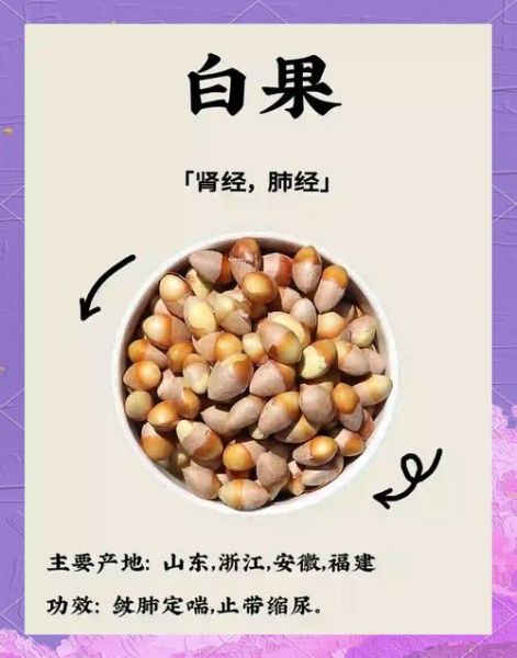 白果不能和什么一起吃_白果禁忌食物有哪些-第2张图片-山城妙识