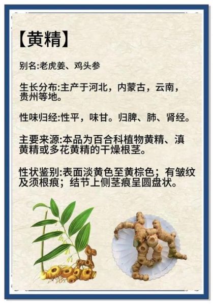 黄精的功效与作用_黄精怎么吃效果最好-第3张图片-山城妙识 黄精的功效与作用_黄精怎么吃效果最好-第3张图片-山城妙识
