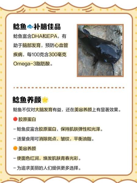 鲶鱼养殖成本是多少_鲶鱼养殖利润怎么样-第2张图片-山城妙识