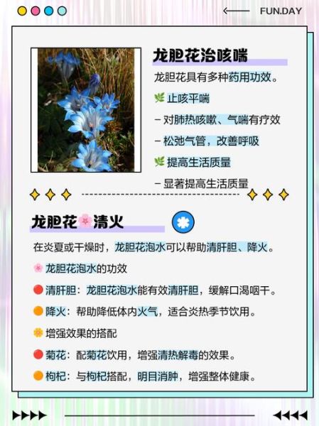 龙胆草泡水喝的正确方法_龙胆草泡水一天喝几次-第2张图片-山城妙识 龙胆草泡水喝的正确方法_龙胆草泡水一天喝几次-第2张图片-山城妙识