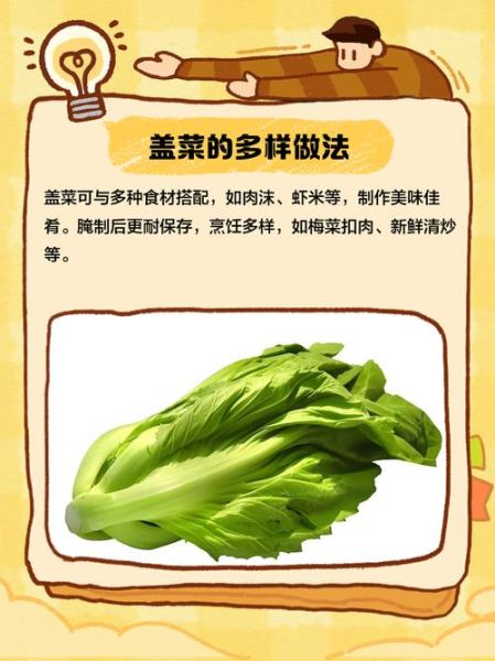 盖菜是什么菜_盖菜和芥菜的区别-第3张图片-山城妙识