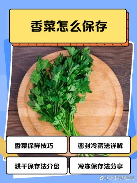 香菜怎么保存新鲜不烂_香菜保鲜的正确方法-第3张图片-山城妙识