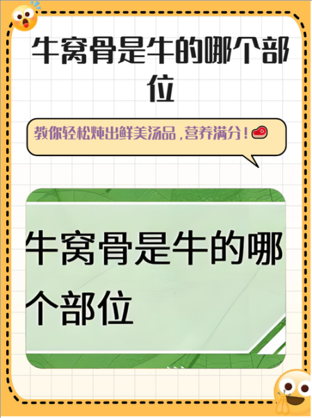 牛膝骨是哪个部位_牛膝骨和牛拐骨区别-第2张图片-山城妙识