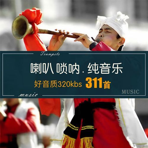 百鸟朝凤唢呐曲的由来_百鸟朝凤唢呐曲怎么学-第3张图片-山城妙识