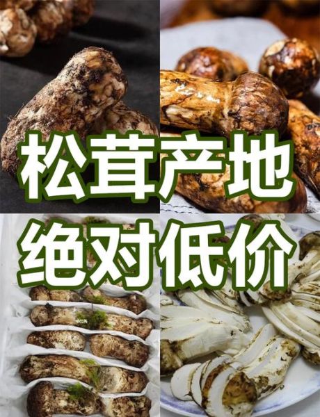 黑松茸价格多少钱一斤_黑松茸怎么做好吃-第1张图片-山城妙识 黑松茸价格多少钱一斤_黑松茸怎么做好吃-第1张图片-山城妙识