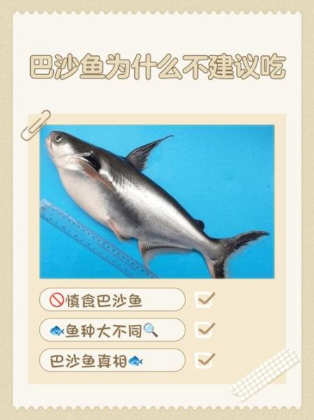 巴沙鱼为什么不适合孩子吃_巴沙鱼孩子吃了有什么危害-第1张图片-山城妙识