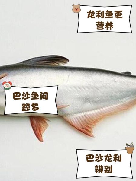 巴沙鱼为什么不适合孩子吃_巴沙鱼孩子吃了有什么危害-第2张图片-山城妙识