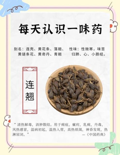 连翘的功效与作用_连翘能治疗哪些疾病-第1张图片-山城妙识 连翘的功效与作用_连翘能治疗哪些疾病-第1张图片-山城妙识