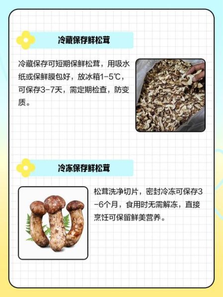 鲜松茸怎么保存_鲜松茸可以放冰箱吗-第2张图片-山城妙识