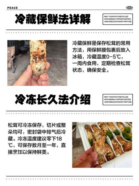 鲜松茸怎么保存_鲜松茸可以放冰箱吗-第1张图片-山城妙识