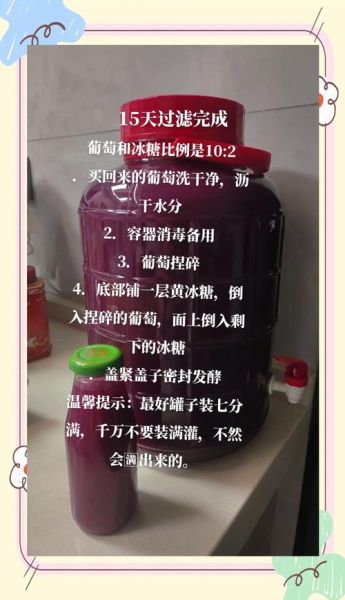 酿葡萄酒冰糖比例是多少_自酿葡萄酒放多少糖合适-第1张图片-山城妙识