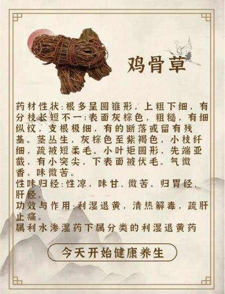 鸡骨草的功效与作用_鸡骨草怎么吃才安全-第2张图片-山城妙识 鸡骨草的功效与作用_鸡骨草怎么吃才安全-第2张图片-山城妙识