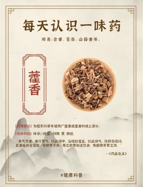 藿香的功效与作用_藿香怎么吃效果最好-第1张图片-山城妙识