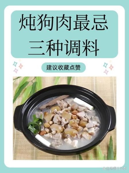 炖狗肉去腥必放什么调料_狗肉去腥最管用的香料-第1张图片-山城妙识