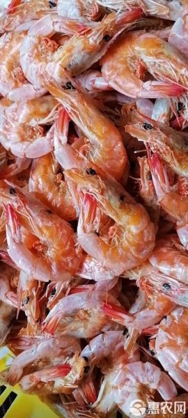 袋装干对虾怎么泡发_家常做法大全-第2张图片-山城妙识