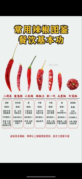 辣椒图片大全大图真实_辣椒种类怎么区分-第1张图片-山城妙识